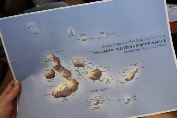 Visiting Genovesa Island in the Galápagos • The Blonde Abroad